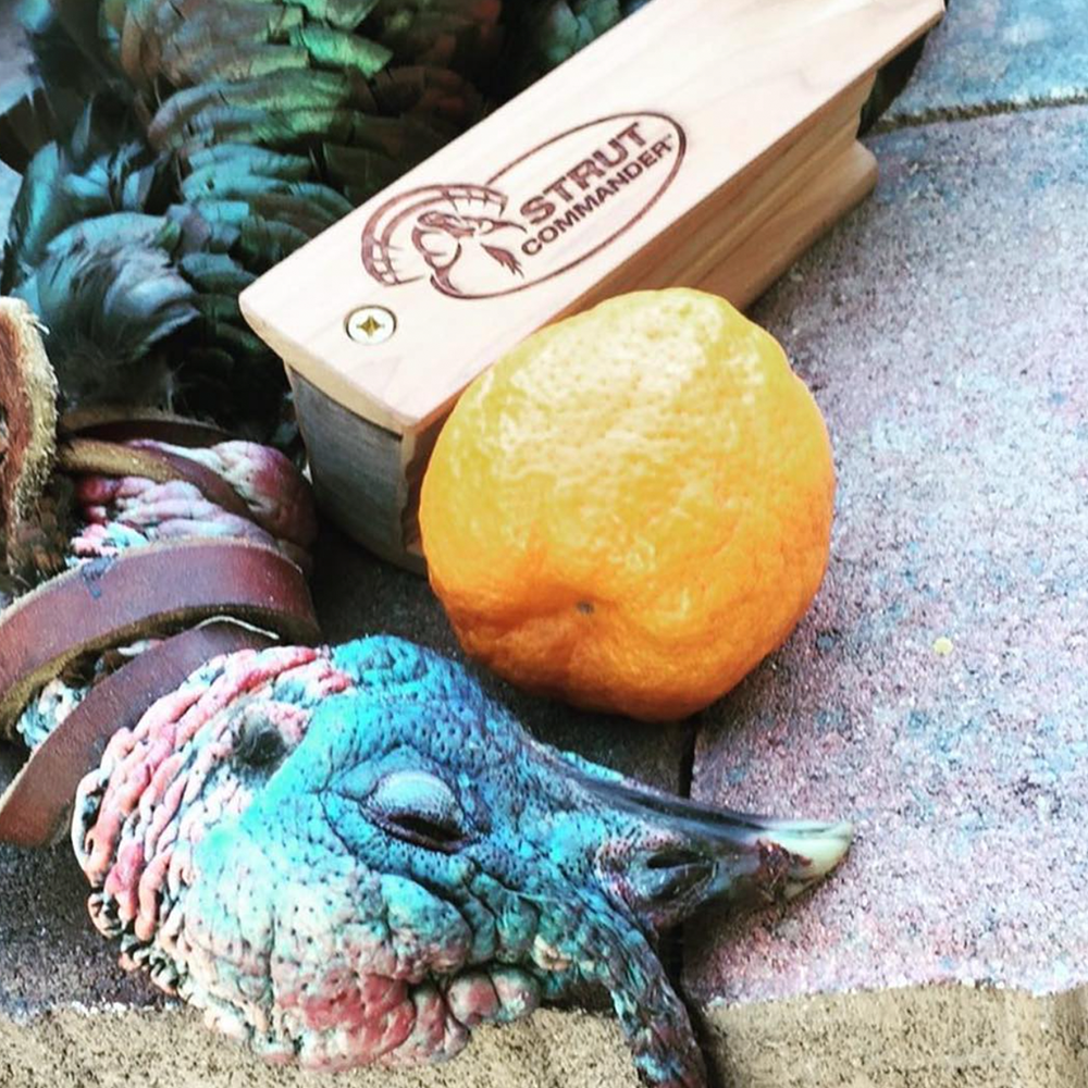 Strut Commander Turkey Calls | Houdini Cherry Box Call– Duck Commander